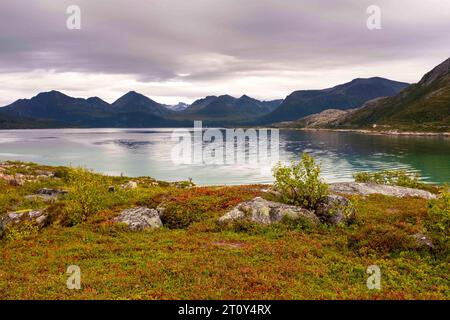 September 05, 2023: Shades of autumn reds and yellows color Norwegian ...