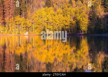 Maple and aspen reflections in Payson Lakes. Mt. Nebo Scenic Loop Stock ...