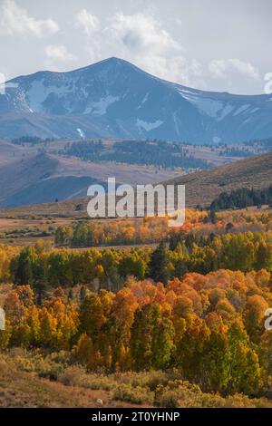 The fall color on Conway Summit along U.S. 395 in Mono County is so ...