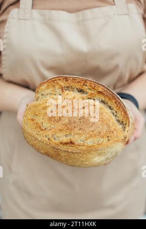 Baker hands break hot fresh round wheat bread into two halves, crunch ...