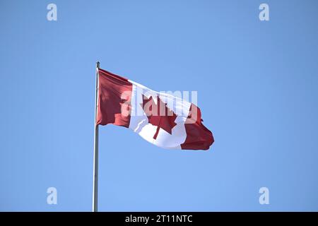 Berlin: Nationalflagge Kanadas , rot/weiß, Ahornblatt Logos und Flaggen ...