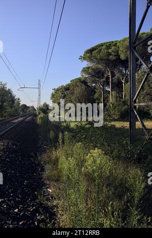 Railroad track with overhead cables passing in a forest next to a town ...