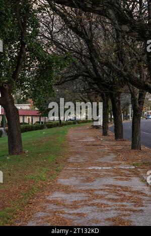 Different angles of footpaths Stock Photo - Alamy