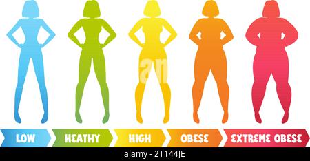 Body Mass Index or mass index scale. Types of BMI.Weight loss concept ...