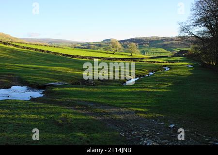 A Stream running through Dales Fields at Wharfe near Austwick ...