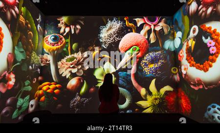'Complexity Space' by Markos Kay at Illusionaries: Latent Spaces ...