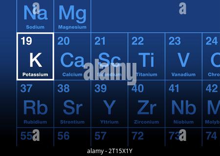 Potassium on periodic table of the elements. Alkali metal with symbol K ...