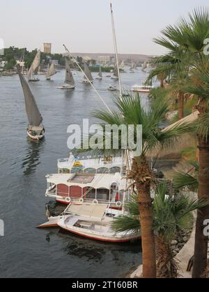 Classic view of the River Nile at Aswan with palm trees, feluccas ...