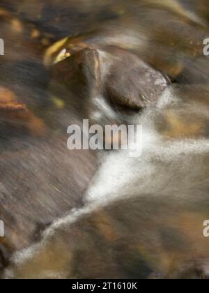 The River Onny at Craven Arms, Shropshire, UK Stock Photo - Alamy