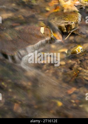 The River Onny at Craven Arms, Shropshire, UK Stock Photo - Alamy