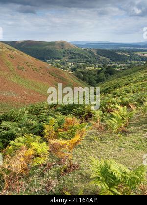 Church Stretton and The Shropshire Hills viewed from above Little ...