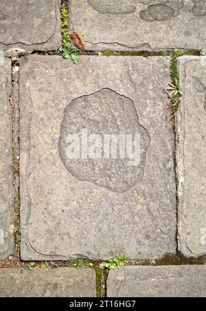 Patterns on Paving Stone Slabs Stock Photo - Alamy
