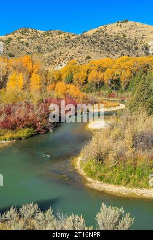 fall colors along the ruby river below the snowcrest range near alder ...