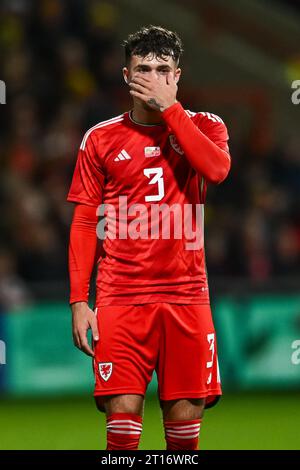 Neco Williams of Wales covers his face during the International ...
