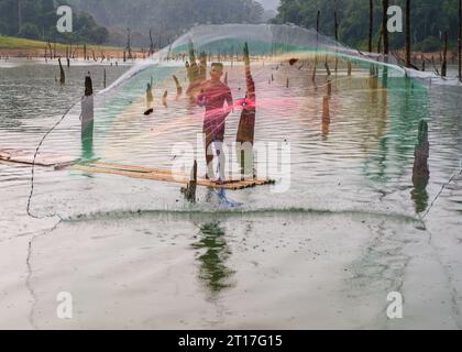Indigenous men catching fish using net Stock Photo - Alamy