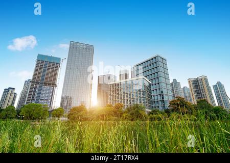 Skyscrapers in commercial areas, urban landscape, Changsha, China Stock ...