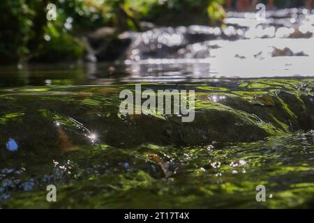 Texture montain river creek stream Stock Photo - Alamy