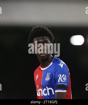 Jesuran Rak-Sakyi of Crystal Palace on his Crystal Palace premier ...