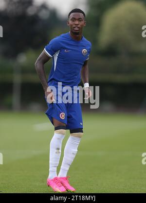 Zak Sturge of Chelsea U21. - Chelsea U21 v Brentford B, Pre Season ...