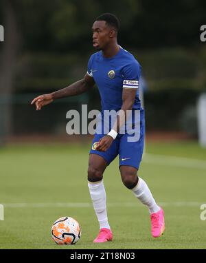 Zak Sturge of Chelsea U21. - Chelsea U21 v Brentford B, Pre Season ...
