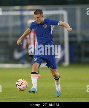 Ronnie Stutter of Chelsea U21. - Chelsea U21 v Brentford B, Pre Season ...