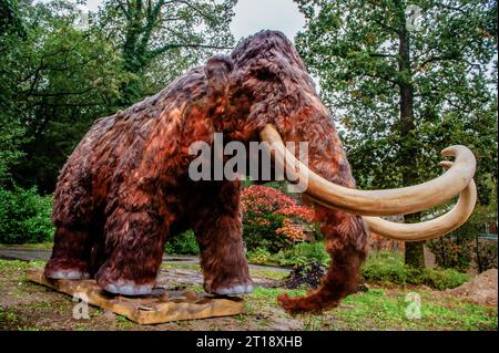 A view of a huge mammoth completely assembled under heavy rain. This ...