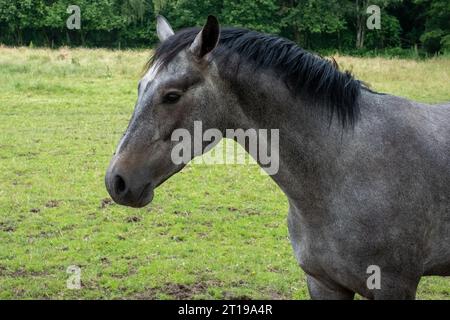 Profile side photo of elegant stunning young woman wear white shirt tie ...