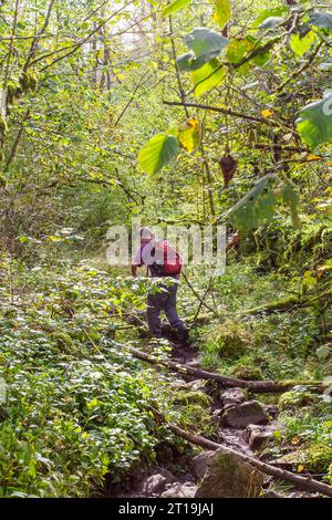 Man walking rambling through the Derbyshire Dales beauty stop of Deep ...