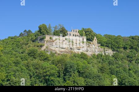 Burg Karlsburg, Karlstadt, Bayern, Deutschland Stock Photo - Alamy