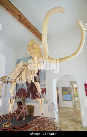 Skelett, Mammut, Museum für Ur- und Frühgeschichte, Willibaldsburg ...
