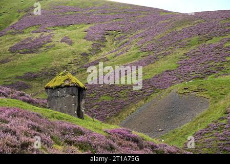 Remains of the lead-zinc mine activity in the village of Wanlockhead ...