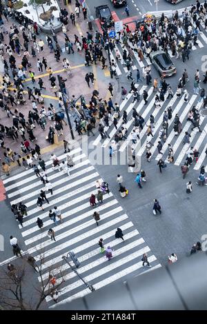 Shibuya Scramble Crossing viewed from above, late afternoon. Tokyo, Japan Stock Photo - Alamy