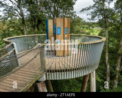 Viewing platform on the "Stihl Treetop Walkway", an aerial walkway ...