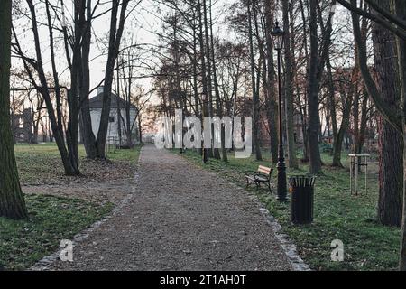 pebble ground path through a park with trees Stock Photo - Alamy