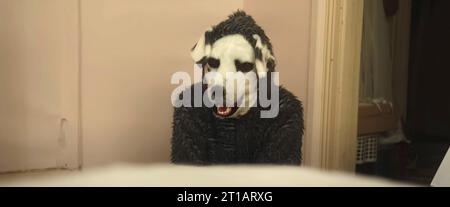 GOOD BOY, (aka ME, YOU & FRANK, aka MEG, DEG & FRANK), Gard Lokke, 2022 ...