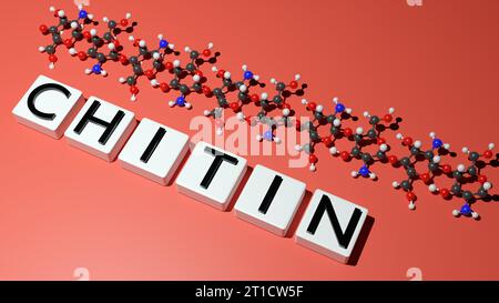 Chitin is a long-chain polymer of N-acetylglucosamine molecules from ...