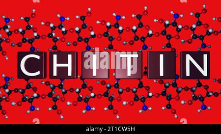Chitin is a long-chain polymer of N-acetylglucosamine molecules from ...