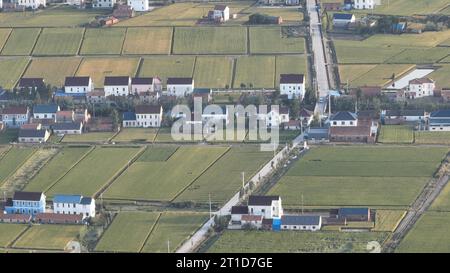 Aerial photo shows the large paddy fields in Fengli Town, Rudong County ...