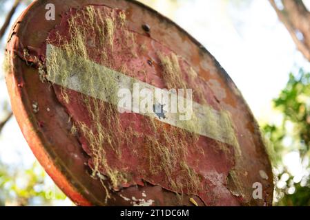 spanish moss on no entry sign post Stock Photo - Alamy