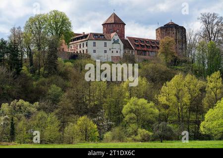 Rieneck Castle, Germany, Bavaria, Rieneck Stock Photo - Alamy