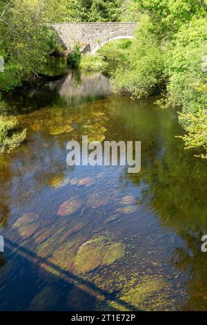 river, river braan, rivers Stock Photo - Alamy