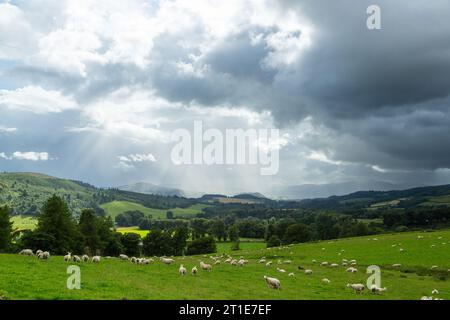Rain Clouds over Countryside Stock Photo - Alamy