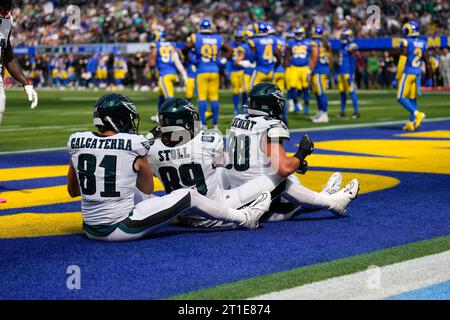 Philadelphia Eagles tight end Grant Calcaterra (81) in action during ...