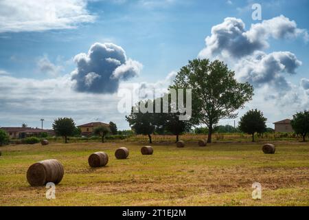 Country landscape near Sinalunga, Siena province, Tuscany, Italy, at ...