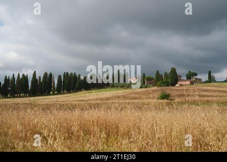 Country landscape near Sinalunga, Siena province, Tuscany, Italy, at ...
