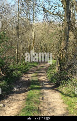 Hastingleigh, Kent, GB, United Kingdom, England, N 51 9' 48'', N 0 59 ...