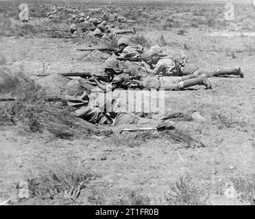 British infantry in a firing line Stock Photo - Alamy