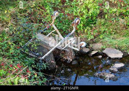 Grocery shopping cart tossed into a swamp without regard Stock Photo ...