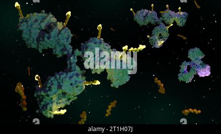 Antibody drug conjugates (ADCs) are targeted medicines that deliver ...