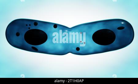 Cell division happens when a parent cell divides into two or more cells ...